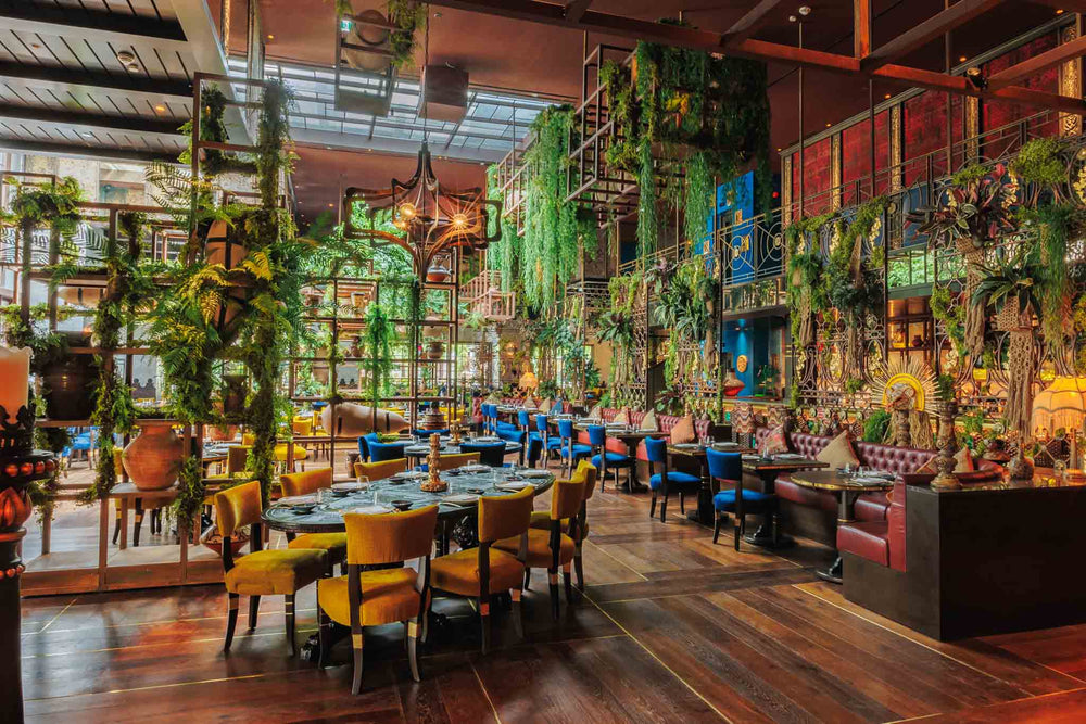 COYA Riyadh | Restaurant | Northern Lights