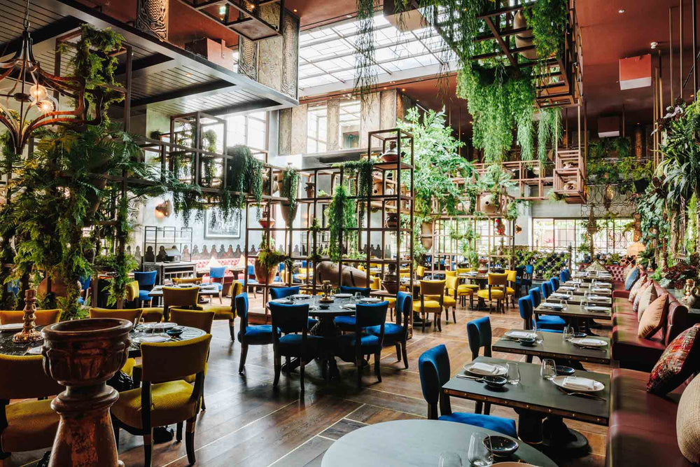 COYA Riyadh | Restaurant | Northern Lights