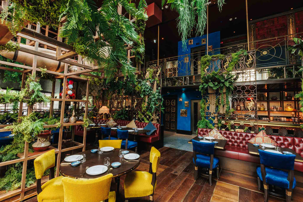 COYA Riyadh | Restaurant | Northern Lights